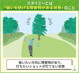 スタイミーとは？ゴルフ初心者が知っておきたい用語とその背景